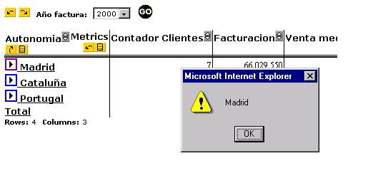 Kb3600 How To Define An Attribute Form As An Html Tag In Microstrategy Developer 9x To Be Seen