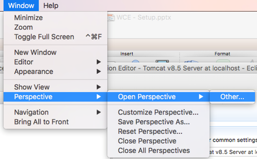 KB439596: How to configure the Web Customization Editor (WCE) to work ...