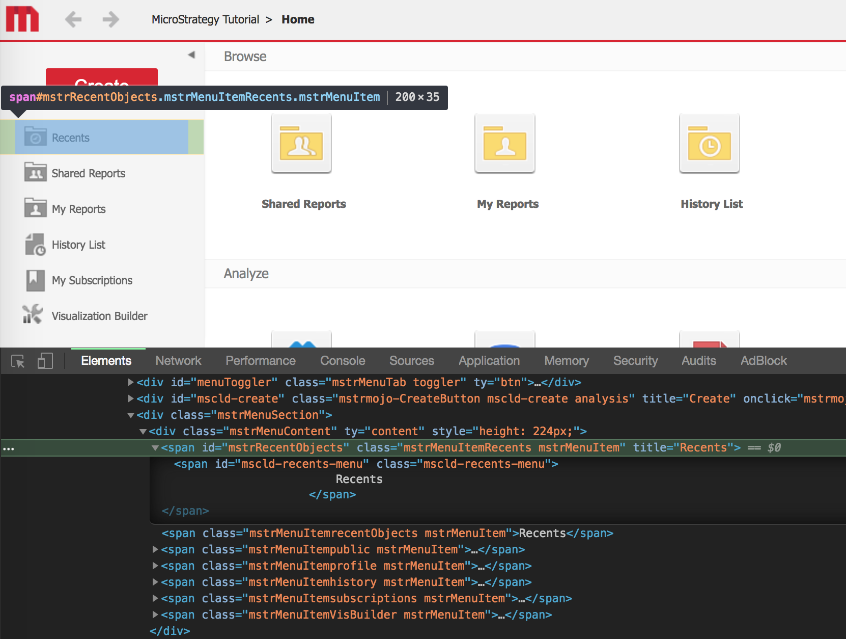 Finding CSS to Change the Look and Feel of Microstrategy Web Using the Web SDK
