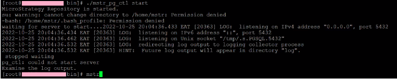 KB485759: “pg_ctl: could not start server” error occurs when try to ...