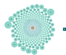 Data Visualizations Gallery | MicroStrategy Community